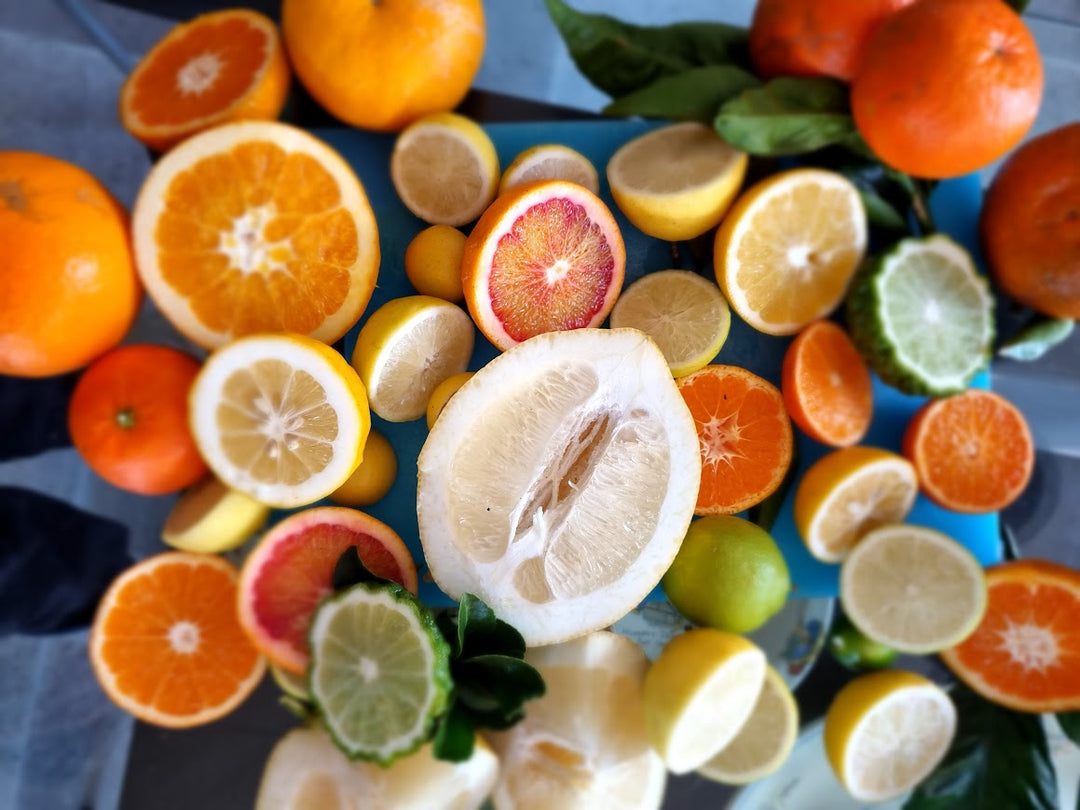 How to Choose When Your Citrus is Ripe - A Citrus Maturing Calendar ...