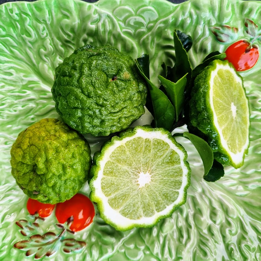 Ways to Use Kaffir (Makrut) Fruit – Citrus Direct